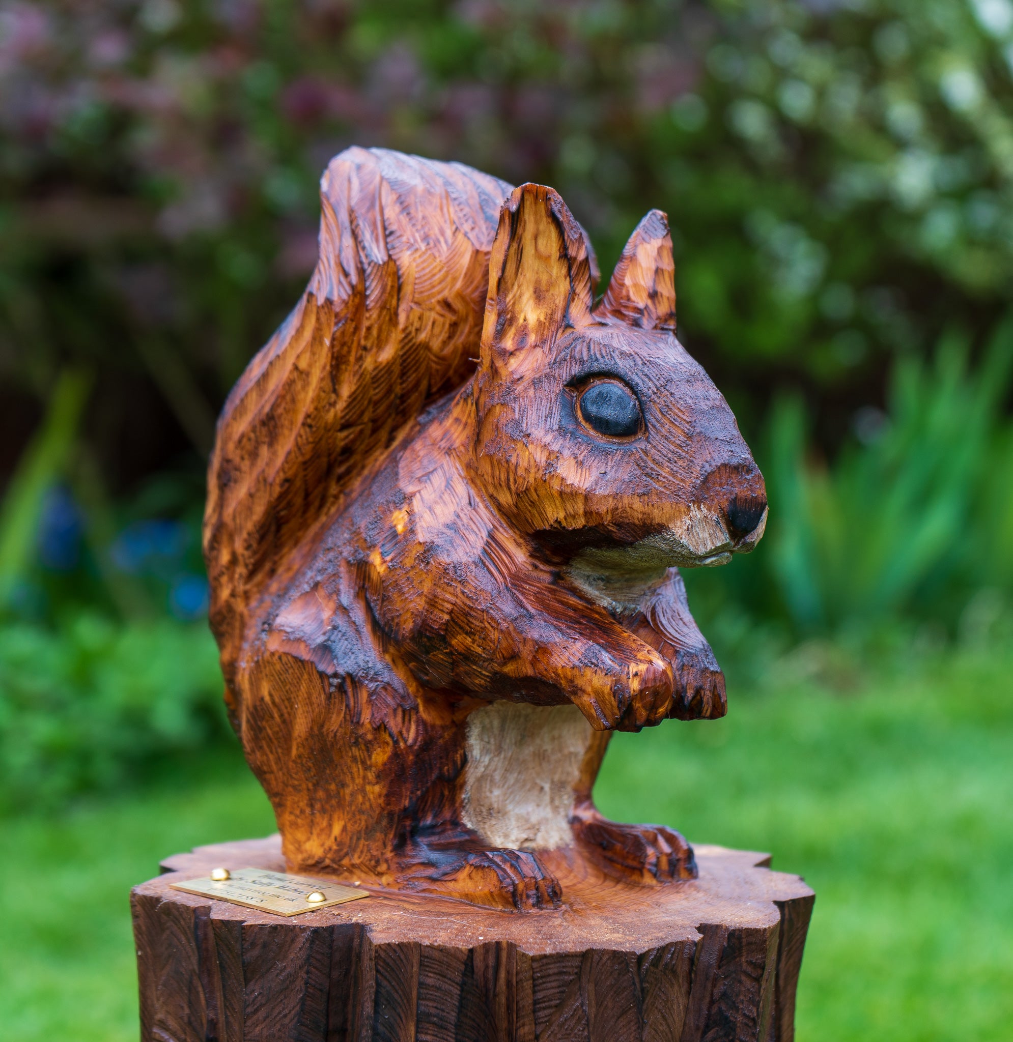 Red Squirrel chainsaw carving, wood sculpture, garden artwork – Maytree ...